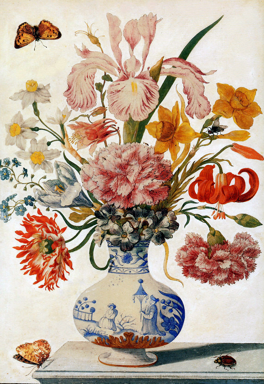 unknown title - Maria Sibylla Merian - WikiArt.org